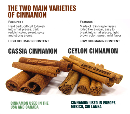 What is Cinnamon | Cinnamon Vogue