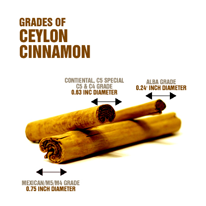 How they make Ceylon Cinnamon | Cinnamon Vogue