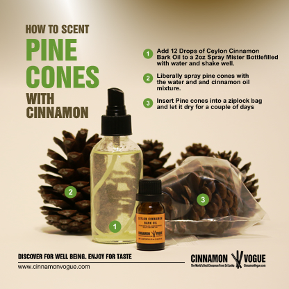 How to make Cinnamon Scented Pine Cones | Cinnamon Vogue
