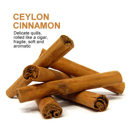 Ceylon Cinnamon | Cinnamon Vogue
