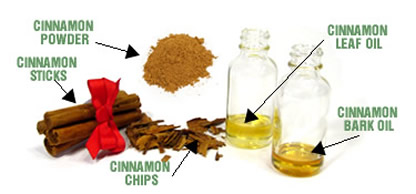 What is Cinnamon | Cinnamon Vogue